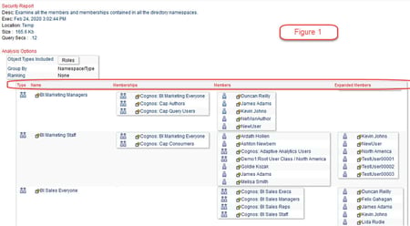 Self-Audit Cognos Security